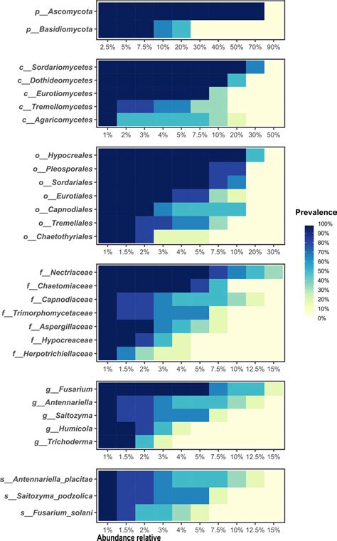 Core Rhizosphere Sugarcane Microbiome Analysis High Prevalence Fungal