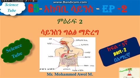 የ5ኛ ክፍል አካባቢ ሳይንስ ምዕራፍ 2 Enzymes ኢንዛይሞች Part 2 Youtube