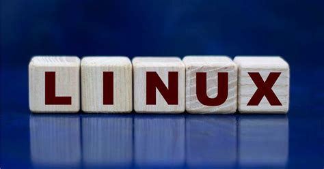 Essential Linux Commands Boosting Developer Skills And Efficie