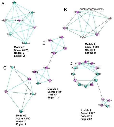 Differentially Expressed Transcripts And Associated Protein Pathways In