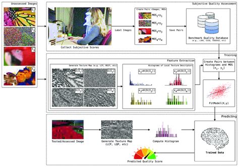 Framework Of The Proposed Referenceless Image Quality Assessment Download Scientific Diagram
