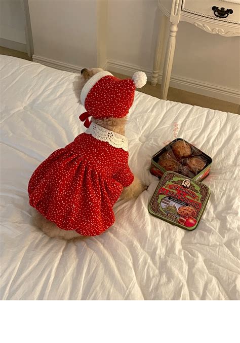 강아지 원피스 강아지 크리스마스옷 강아지 크리스마스 원피스 강아지 연말룩