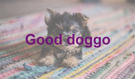 Css Set Background Image Opacity Without Affecting Text