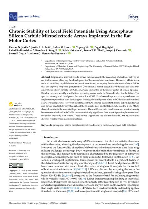 PDF Chronic Stability Of Local Field Potentials Using Amorphous