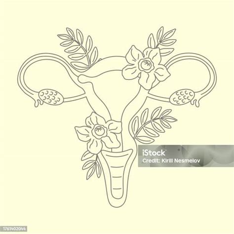 임신과 모성 자궁 꽃 선형 일러스트 레이 션 여성 생식 시스템 2명에 대한 스톡 벡터 아트 및 기타 이미지 2명 가족 개념 Istock