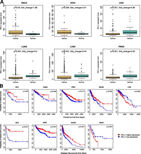 Investigation Of Pd L1 In The “immuno Oncology” Module A Comparison Of Download Scientific