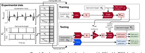Figure 1 From Detecting Gait Events From Accelerations Using Reservoir