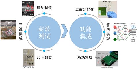 半导体器件与宏微集成实验室 半导体生物电子器件及系统集成