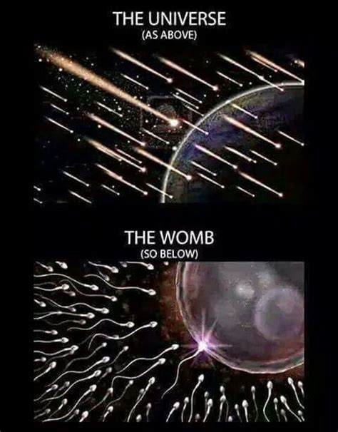 As Above So Below As Within So Without