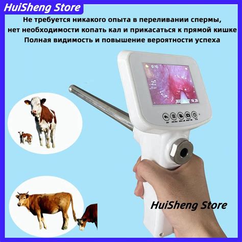 Визуальный эндоскоп, Инструменты для искусственного осеменения корова ...