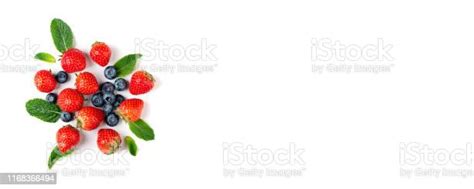 흰색 배경에 신선한 열매 상단보기 딸기 블루 베리 민트 잎 플랫 레이 여름 배경입니다 긴 형식 0명에 대한 스톡 사진 및 기타 이미지 Istock