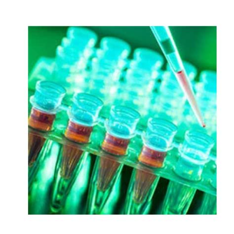 Buy Rna Sequencing Get Price For Lab Equipment Buy Rna Sequencing Get Price For Lab Equipment