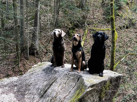 Happy Er Oder Keiner