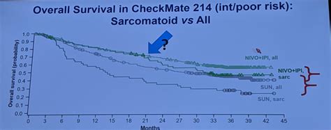 Asco 2019 Sarcomatoid Rcc Defining A New Treatment Paradigm