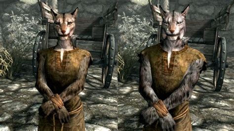 Skyrim Races Guide