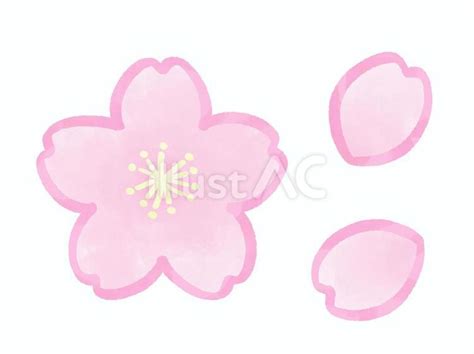 桜の花と花びらイラスト No 24909949｜無料イラスト・フリー素材なら「イラストac」
