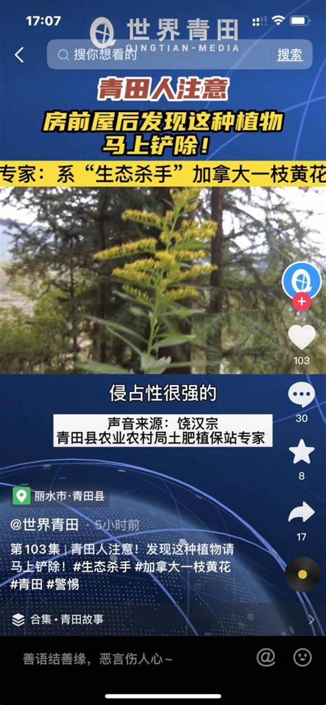 紧急提醒浙江多地大面积出现看到立刻上报 澎湃号媒体 澎湃新闻 The Paper