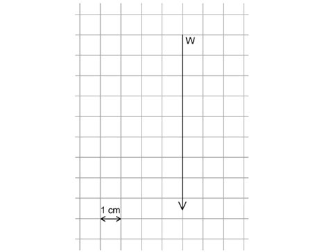 Scalars Vectors AQA AS Physics Exam Questions 2016