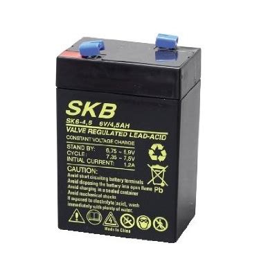 Batteria Al Piombo V Ah Ricaricabile Skb Enterelettronics I
