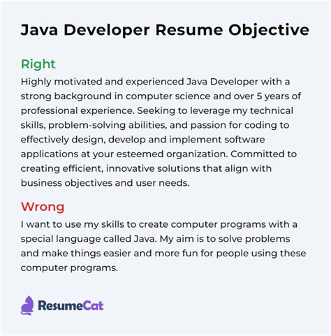 Top 18 Java Developer Resume Objective Examples ResumeCat