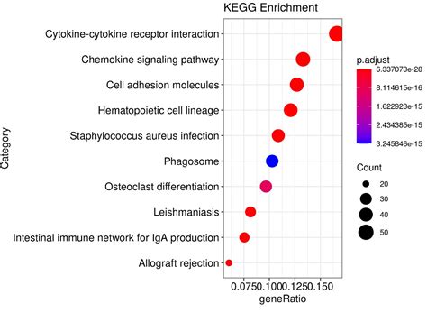 enrichKEGG pip r KEGG 富集分析 组学大讲堂问答社区