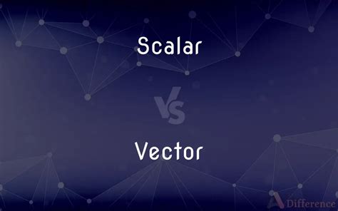 Scalar Vs Vector Whats The Difference