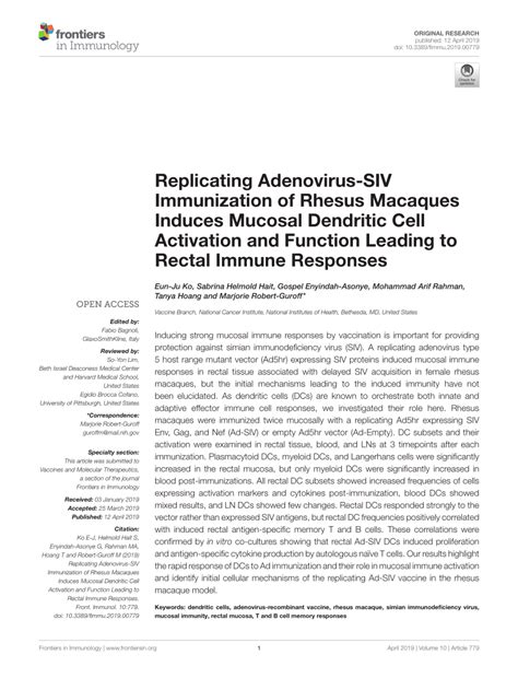 Pdf Replicating Adenovirus Siv Immunization Of Rhesus Macaques