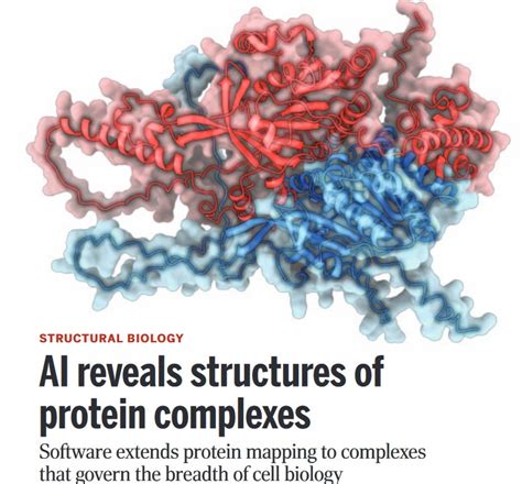 Artificial Intelligence Programs Deepmind And Rosettafold Advance In Revealing Structures Of