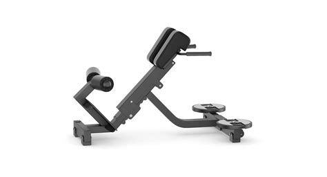 Pure Lower Back Bench 3d Model By Frezzy