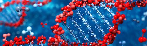 Chromium Single Cell Gene Expression Flex