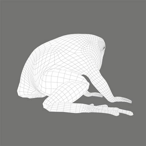 Brown Frog Toad 3d Model By Get Dead Entertainment