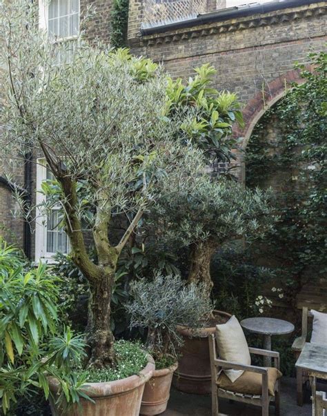 Pin By Denise Kanellopoulou On Patio Perfection Outdoor Gardens