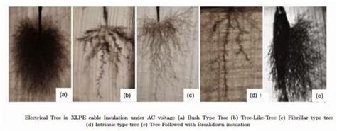 Informational Blog For Cables And Wires Understanding Electrical Treeing Phenomena In Xlpe