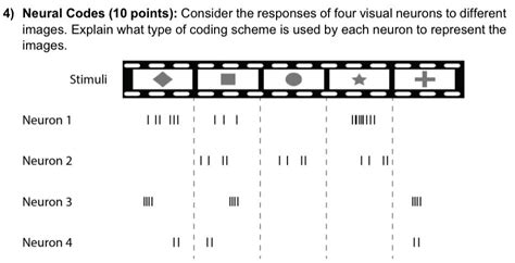 Solved 4 Neural Codes 10 Points Consider The Responses