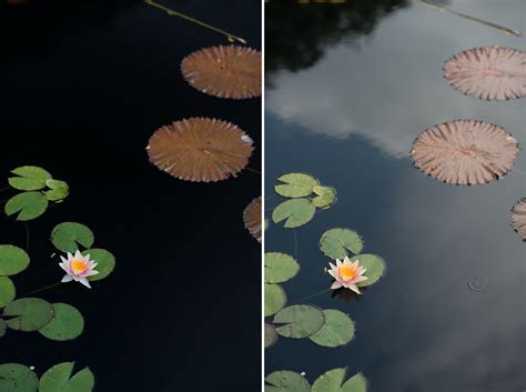 Difference Between Linear And Circular Polarizing Filter At Will Bracy Blog