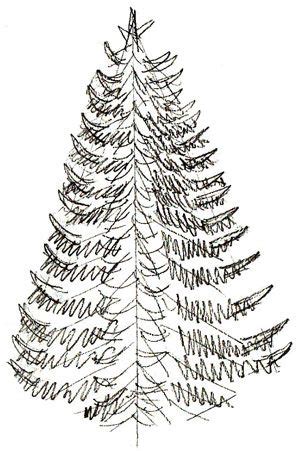 Christmas Tree Drawing Half Christmas Tree Tree Drawing