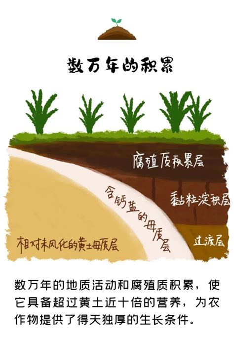 《黑土地保护法》正式实施！一起来保护耕地中的大熊猫腾讯新闻