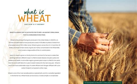 What Is Wheat Wheat Foods Council