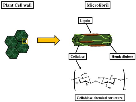 Sources Chemical Functionalization And Commercial Applications Of