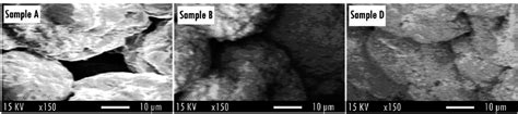 SEM Micrographs Of Samples A B And D Download Scientific Diagram