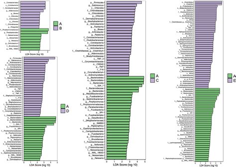 Histogram Of The Linear Discriminant Analysis Lda Scores For Download Scientific Diagram