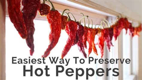 Methods For Drying Peppers