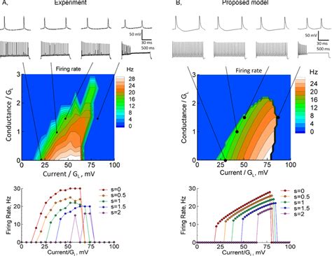 Experimental A And Simulated B Plots For The Steady State Firing Download Scientific