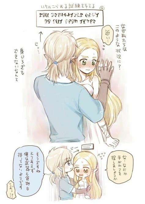 Pin By Link On The Legend Of Zelda Legend Of Zelda Characters Legend Of Zelda Memes Legend