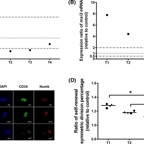 The Effect Of The Sr1 Addition Strategy On The Division Mode Of Cd34⁺ Download Scientific