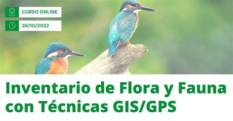 Con El Curso Online De Inventario De Flora Y Fauna Con Gisgps Se
