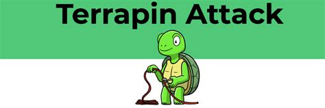 How To Mitigate Terrapin Attack On Macos · Franks Home Page