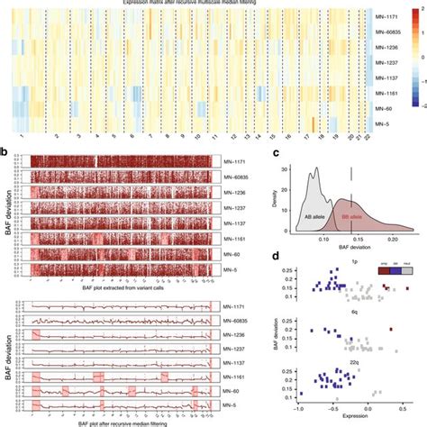 Casper Algorithm Applied To Single Cell Gbm Rna Seq Dataset A Heatmap