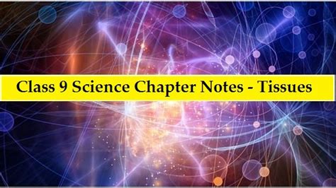 CBSE Class Science Notes For Chapter Tissues Part II