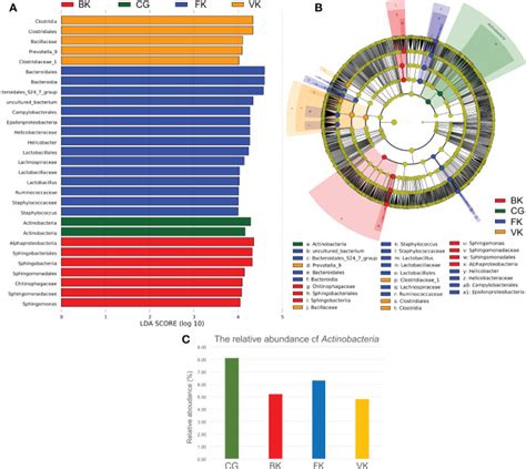Profiling Of The Conjunctival Bacterial Microbiota Reveals The